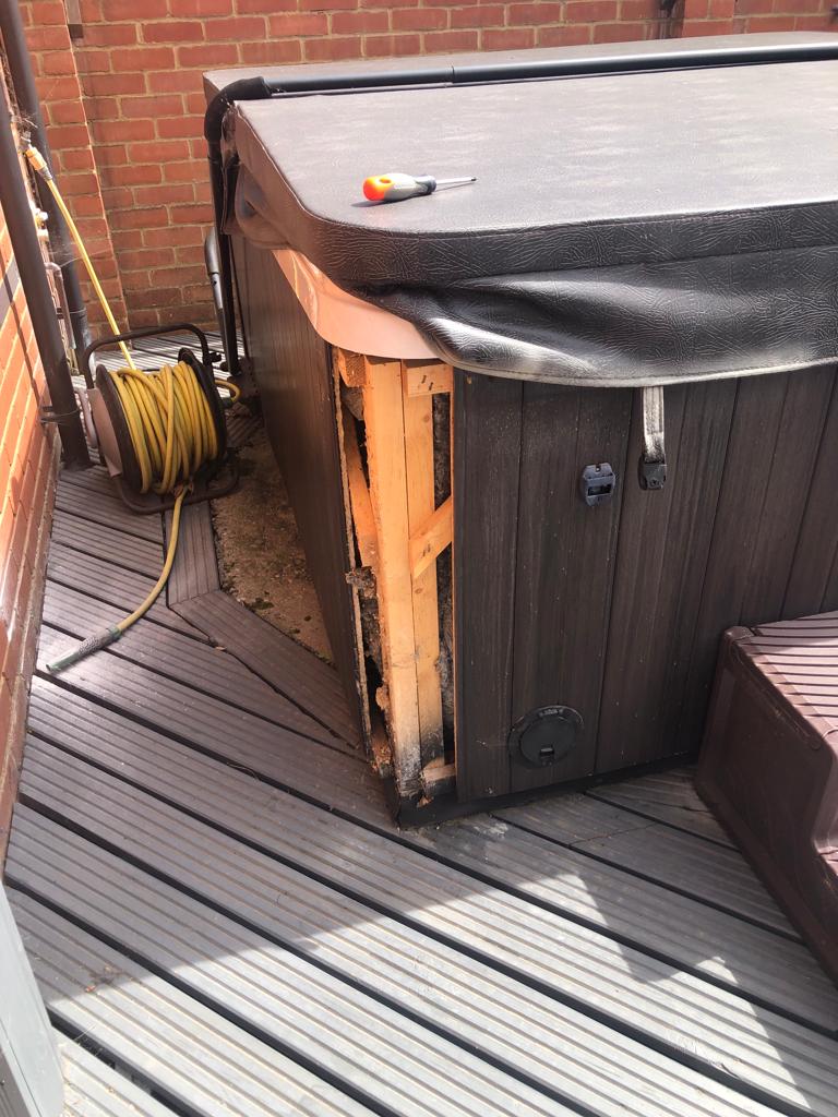 Wasp Nest In Hot Tub In Upminster RM14 Case Study