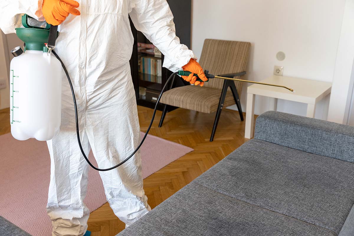 Fumigation in Bow. Fumigation Services E3